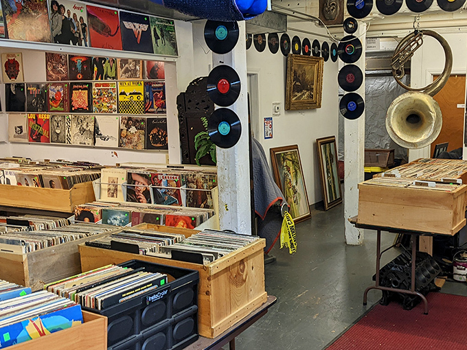 Vinyl heaven! Records from every era line these bins, each one a portal to someone's teenage bedroom circa 1965.