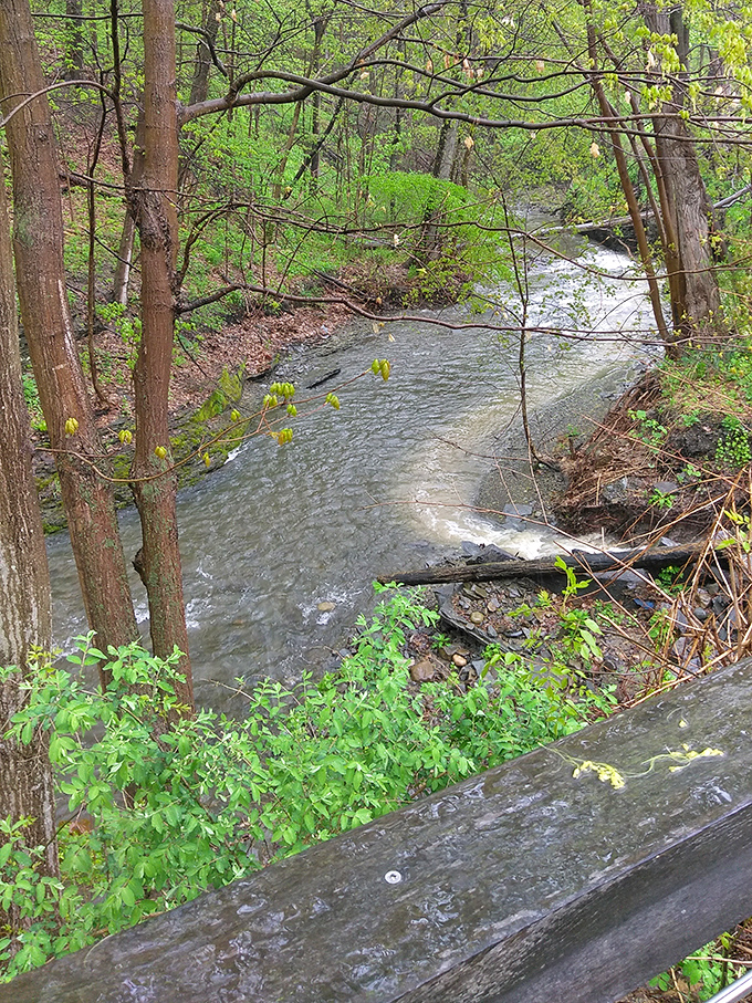 Beneath the bridge, clear waters of the Cayuga Inlet create nature's soundtrack&mdash;a gentle babbling that's better than any meditation app you've downloaded.