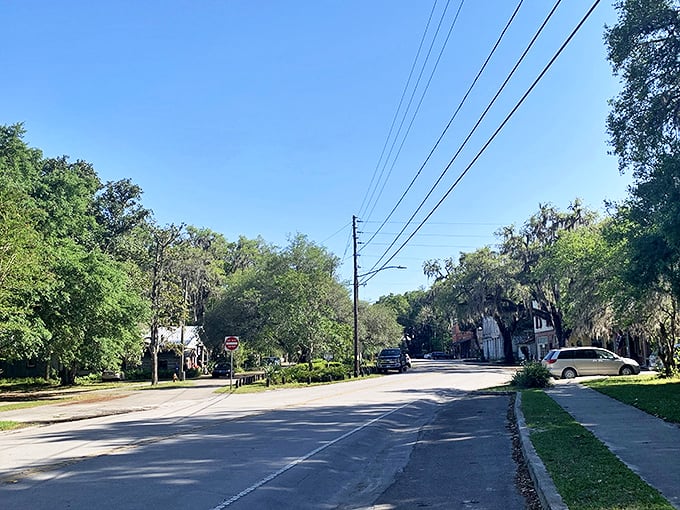 Micanopy's tree-lined avenues offer nature's air conditioning, where dappled sunlight plays hide-and-seek with shadows on the pavement.