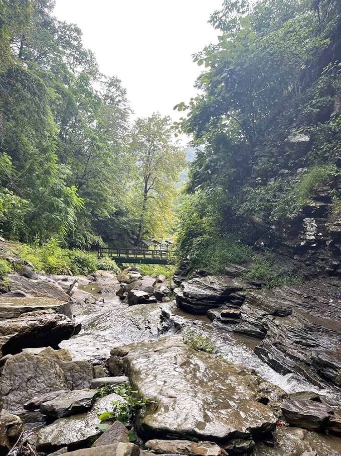 Where the stream narrows between moss-covered rocks, you'll find nature's own version of a meditation app&mdash;complete with surround sound.