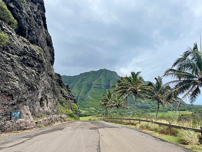 The road less traveled actually delivers on its promise here. Dramatic cliffs on one side, swaying palms on the other&mdash;commuting never looked so good.