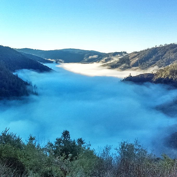 Morning fog fills the canyon like nature's own cotton candy. This ethereal sea of clouds transforms the ordinary into the magical.