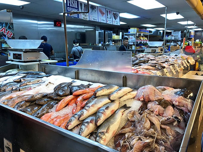 Ocean's bounty on display! The seafood counter offers everything from familiar fillets to exotic catches for adventurous home chefs.