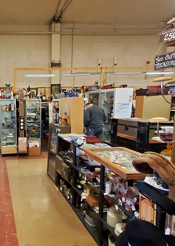 Display cases filled with carefully curated collectibles await inspection. The thrill of the hunt is matched only by the joy of discovery.
