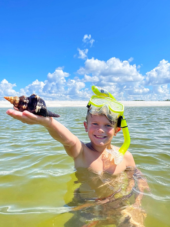 Treasure hunting, Florida-style! Nothing beats the joy of discovering oceanic souvenirs while sporting snorkel gear that screams "serious beach business."