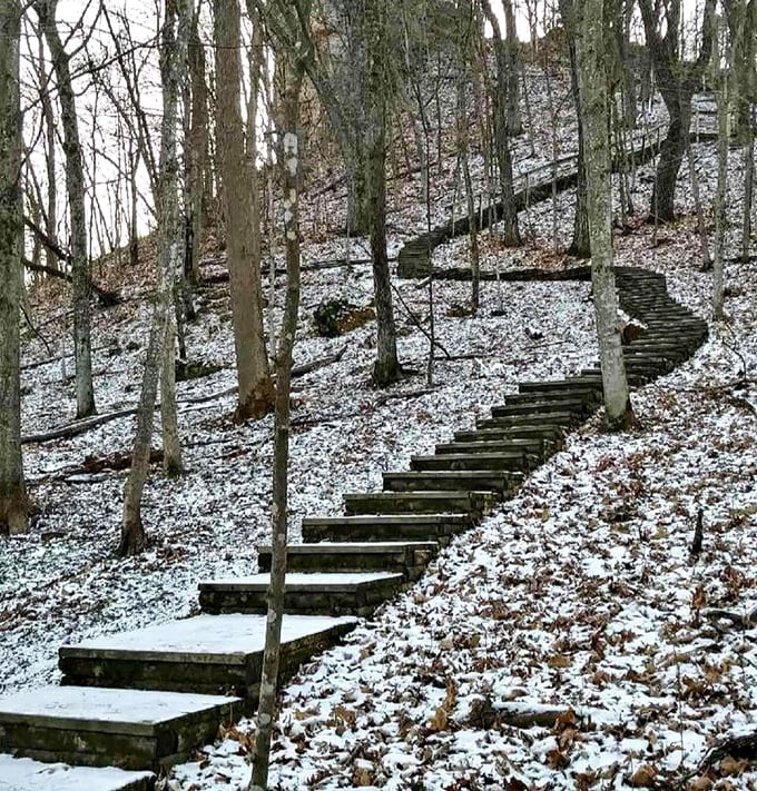Winter transforms ordinary stairs into a Robert Frost poem come to life&mdash;these snow-dusted steps practically whisper "the road less traveled."