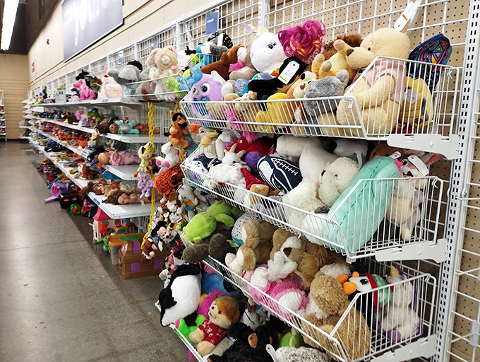Stuffed animal adoption center where teddy bears and plush pals wait for their second chance at being loved.