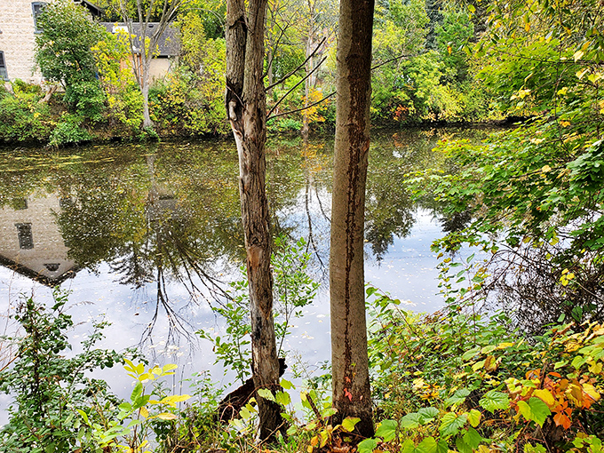 Cedar Creek meanders through town like it's got nowhere urgent to be, which perfectly matches the local lifestyle.
