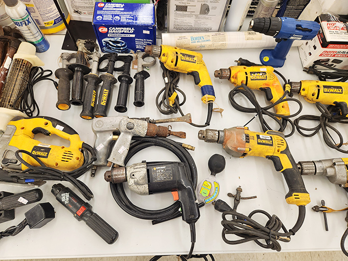 Tool paradise for the DIY enthusiast! These well-loved DeWalts have built decks, hung shelves, and probably witnessed a few colorful language moments.