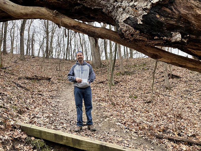 The trail's fallen log creates nature's perfect photo frame. Like Mother Nature installed her own Instagram filter for hikers.