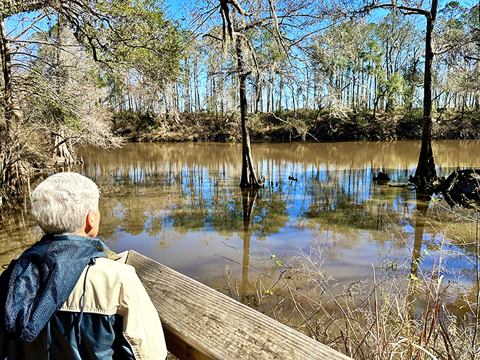 A visitor contemplates the serene waters where cypress knees poke through the surface like nature's own sculpture garden.