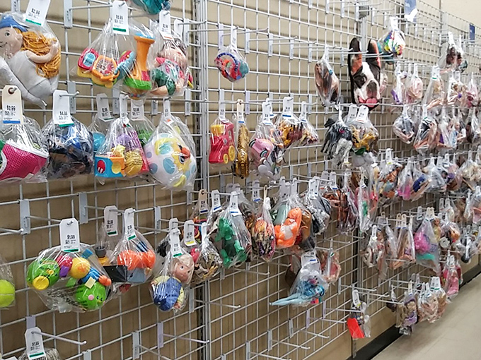 Plastic menageries in clear bags hang like colorful fruit, each containing childhood joy for a fraction of retail price.