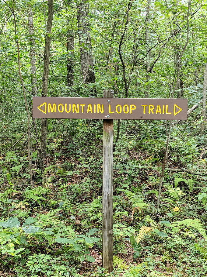 "Mountain Loop Trail" points the way to adventure. Like life's best journeys, this one promises both challenge and reward around every bend.