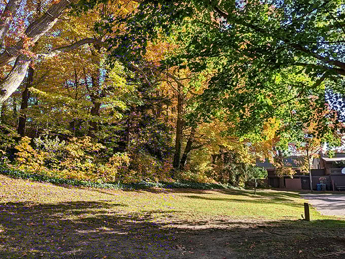 Fall foliage that makes you understand why people write poetry about trees changing their wardrobes annually.