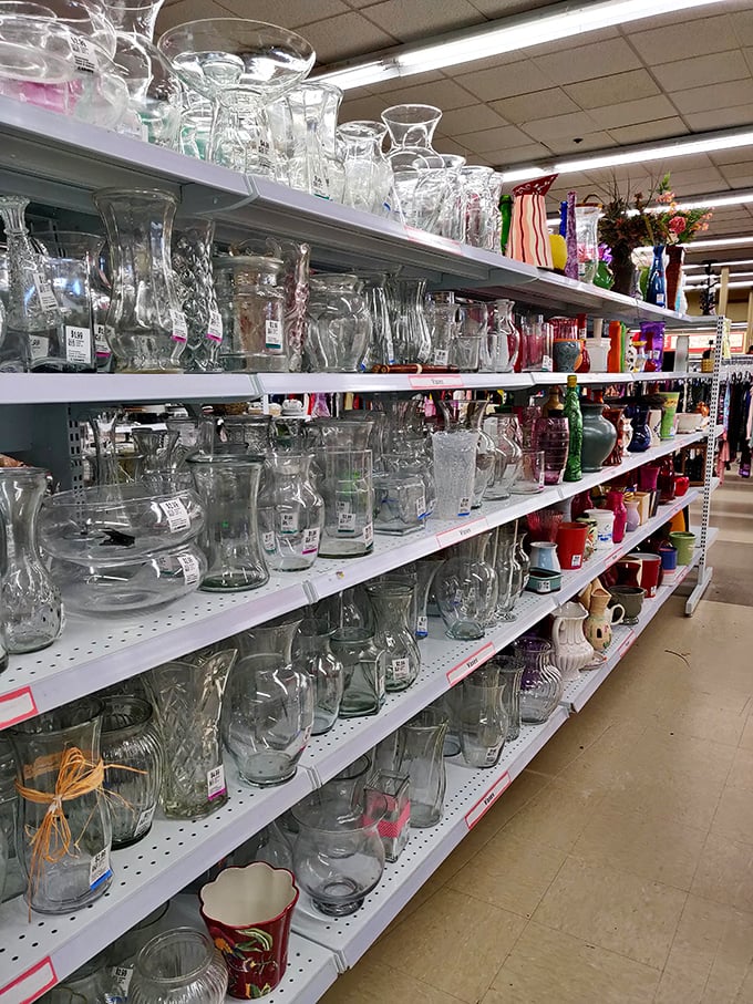 Glass vases multiplying across shelves like a crystal garden, each one ready to elevate your grocery store bouquets.