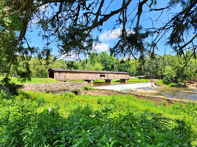 The lush greenery surrounding the bridge offers a perfect frame, proving that Mother Nature remains the world's greatest landscape architect.