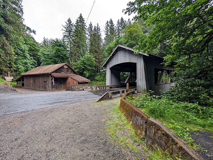 A peaceful guardian of the forest, the bridge's silvery exterior has earned its patina honestly through decades of Pacific Northwest weather.