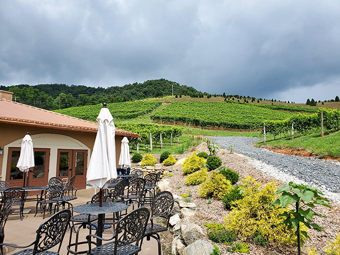 The patio beckons with wrought-iron tables and mountain views that make even checking your phone seem like sacrilege.