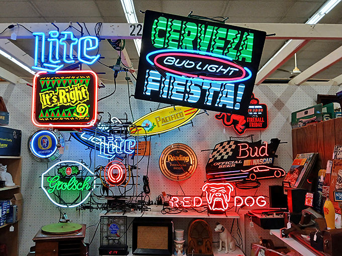 The neon beer sign collection glows with nostalgic brilliance, each one a luminous reminder of neighborhood taverns and simpler Saturday nights.