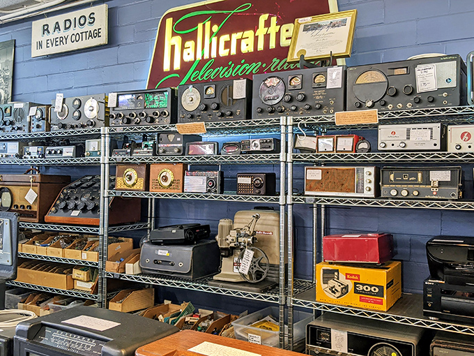 Vintage radio heaven! These aren't just old electronics; they're time machines waiting to broadcast voices from decades past.