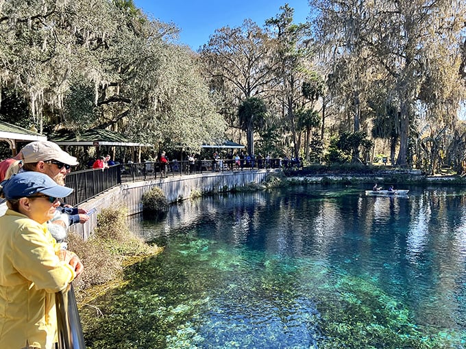 Visitors gather at the spring's edge, mesmerized by waters so clear you can count fish from 30 feet away without getting your hair wet.