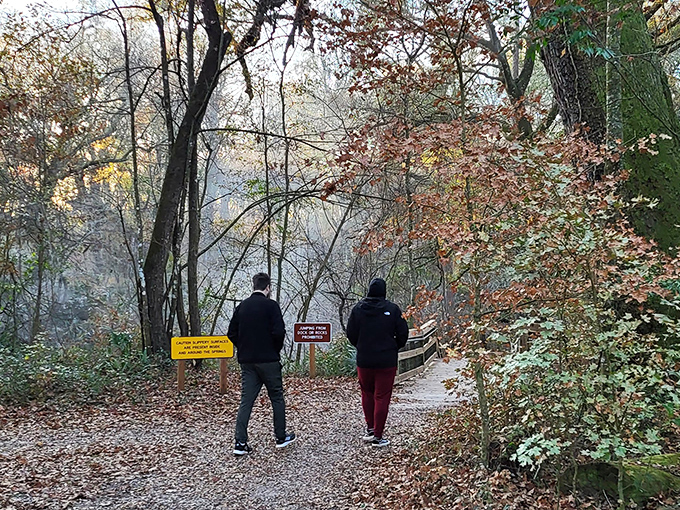 Fall foliage creates the perfect backdrop for explorers on Peacock Springs' well-maintained trails. Nature's seasonal wardrobe change is worth the trip alone.