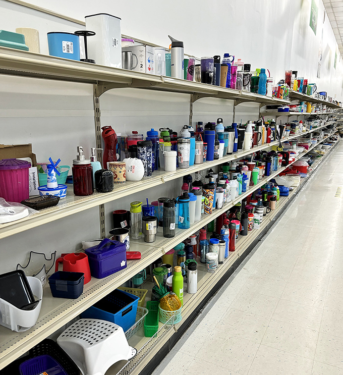 The water bottle aisle: where hydration meets personality. Like a museum of portable beverage containers spanning decades of design evolution.