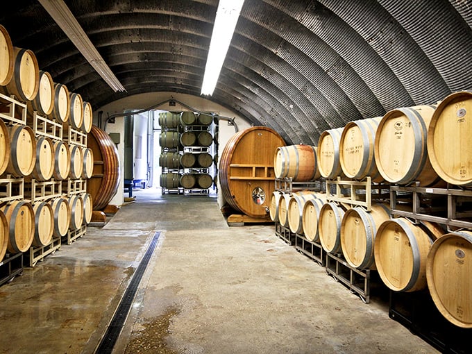 Where wine dreams mature&mdash;oak barrels standing like patient sentinels, each holding liquid stories waiting to be told.