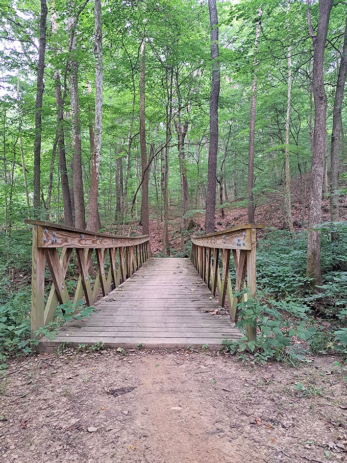 This wooden bridge isn't just crossing a stream&mdash;it's the perfect metaphor for leaving your stress on one side and finding peace on the other.