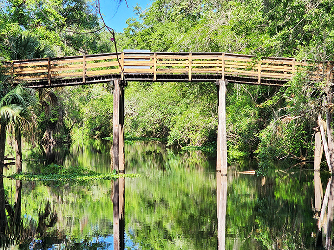 Crossing this wooden bridge feels like stepping into a Florida that existed long before neon signs and souvenir shops claimed the landscape.
