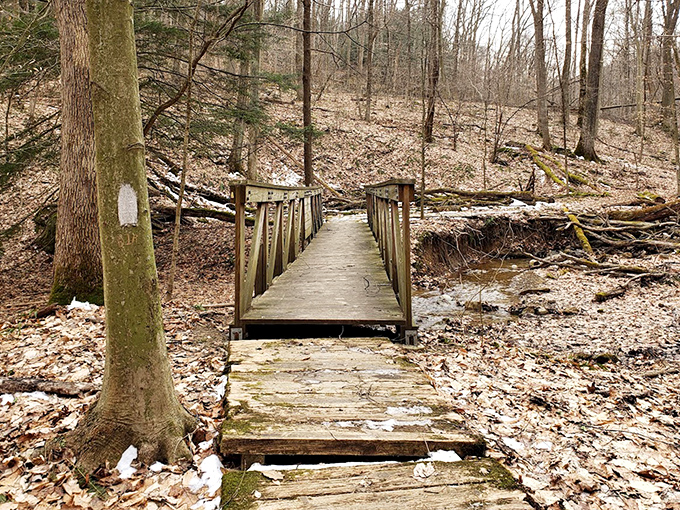 Winter's quiet transformation turns this wooden footbridge into something from a Robert Frost poem—less traveled by, but making all the difference.