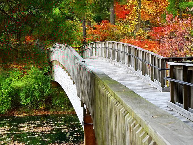 Fall's golden archway beckons across this wooden footbridge, where even the most dedicated city-dweller becomes a poet.