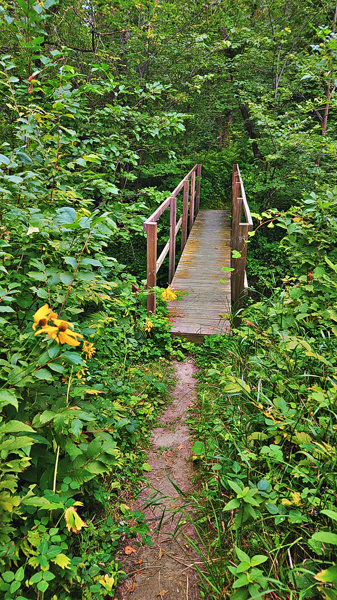 This wooden footbridge isn't just crossing a stream&mdash;it's inviting you into a secret garden that Burnett herself would approve of.