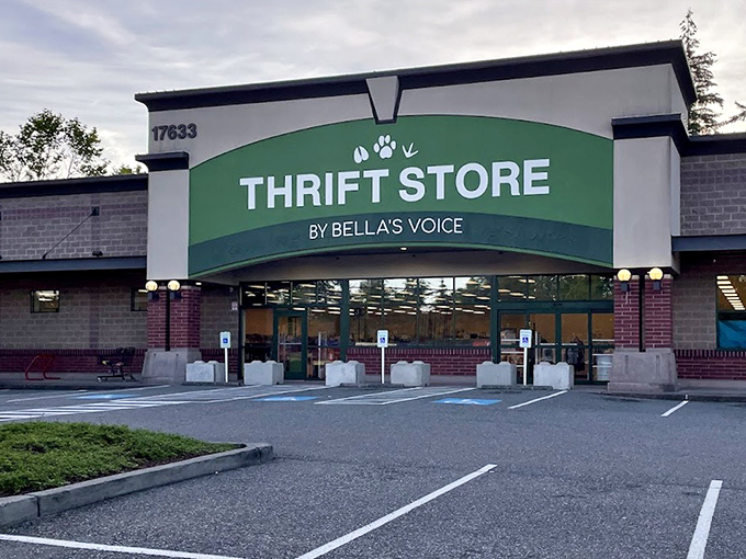 Bella's Voice announces itself with clean lines and paw prints that hint at its pet-friendly mission. This isn't just shopping&mdash;it's supporting a community.