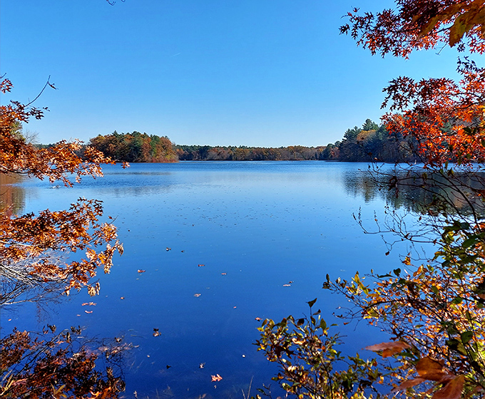 The deep blue of the lake perfectly framed by the fiery gold of autumn. A beautiful, still moment where the sky meets the water at the height of the season.