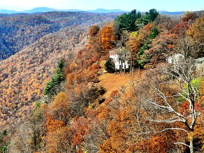 Fall paints Caesars Head in a palette of amber and gold, creating a masterpiece that would make Bob Ross reach for his brushes.