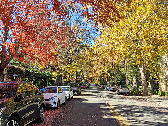 Calistoga&rsquo;s tree-lined streets glow with seasonal color, inviting you to slow down and savor the laid-back rhythm of wine country life.