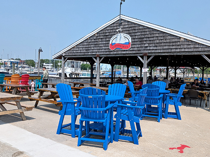 Captain Scott's blue Adirondack chairs invite you to sit a spell after conquering mountains of fresh seafood by the harbor.