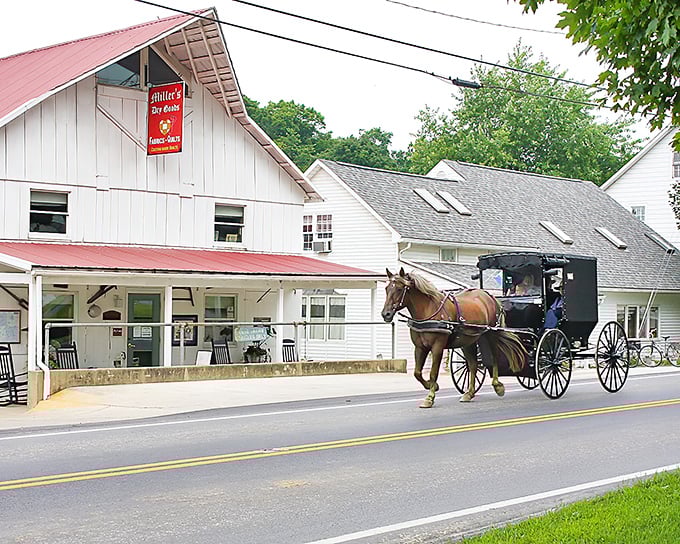 Charm's General Store stands ready to serve locals and visitors alike. A one-stop shop where practical meets nostalgic.