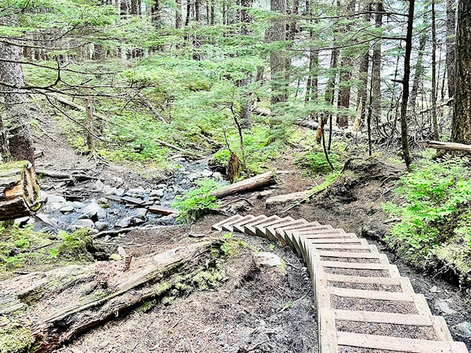 Where forest meets shoreline, this wooden stairway invites you into nature's embrace&mdash;one step at a time, no rush.