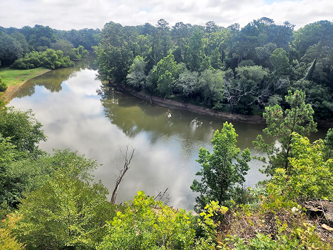 Who needs the Grand Canyon? Cliffs of the Neuse proves North Carolina can do dramatic landscapes that make your Instagram followers double-take.