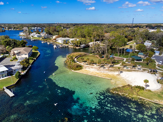 Crystal River's crystal-clear waters live up to their name, offering a glimpse into Florida's natural springs where manatees gather in winter months.