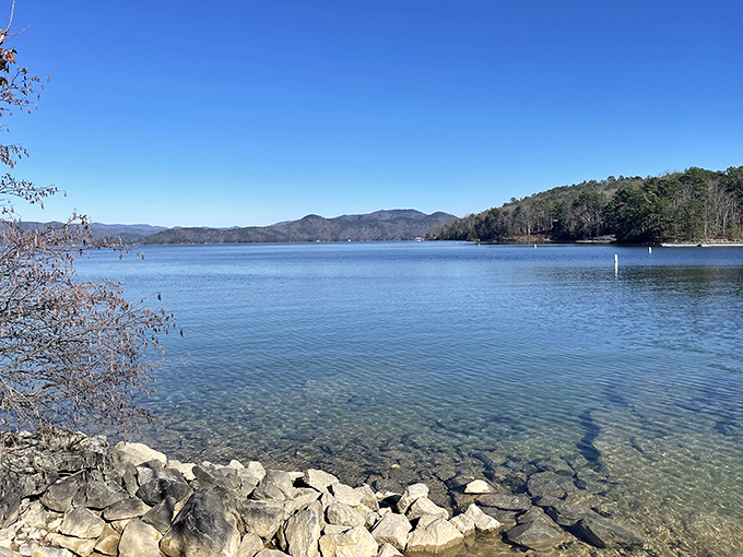 Lake water so clear it makes your swimming pool look like murky dishwater from yesterday.