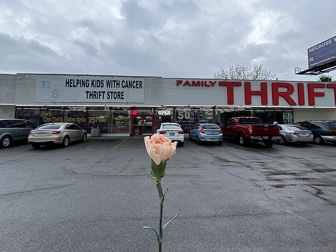 Family Thrift combines bargain hunting with a cause. That pink flower seems to say, "Beauty can be found in unexpected places."