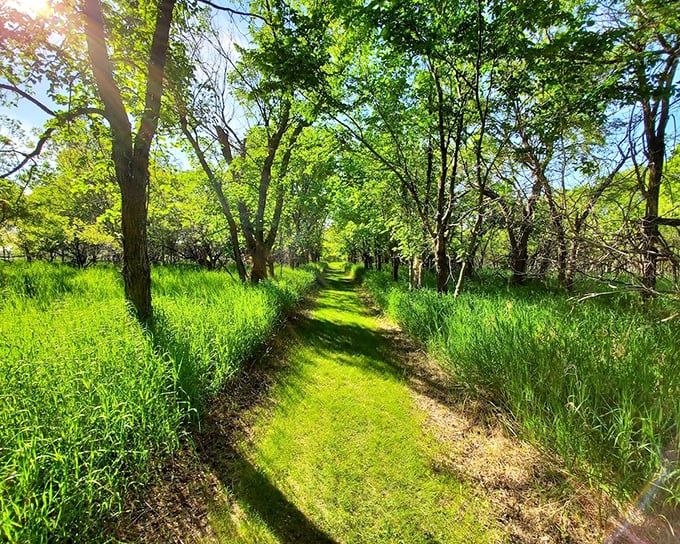 A trail cutting through spring's electric green&mdash;nature's version of the yellow brick road, minus the wicked witch.
