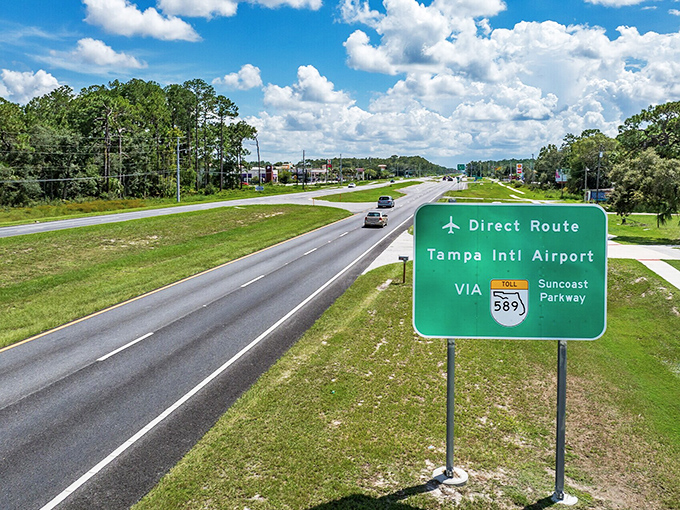 Winding roads through green canopies lead to waterfront adventures where manatees are the main attraction.