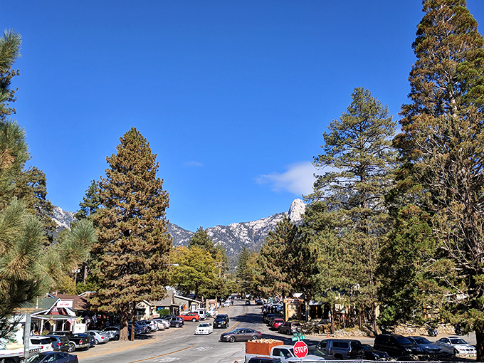 The view from downtown Idyllwild &ndash; where the mountains aren't just scenery, they're neighbors you wave to each morning.
