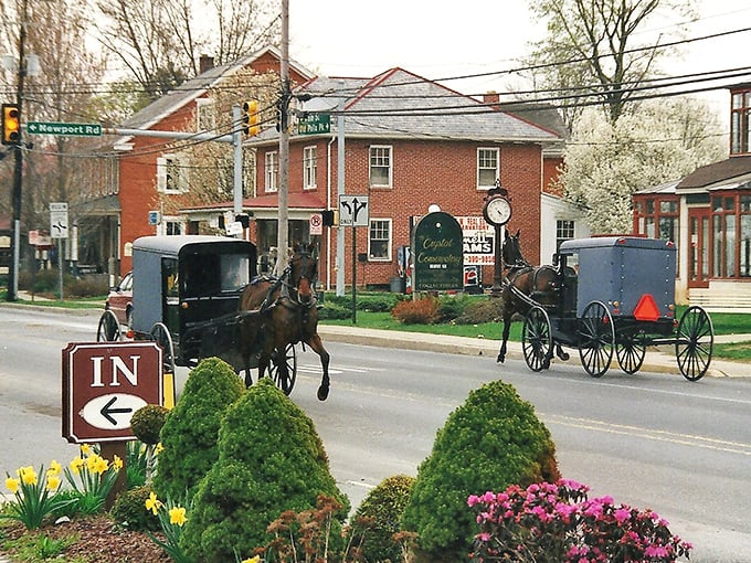 Amish farms near Intercourse showcase a patchwork of perfectly tended fields that would make any gardener green with envy.