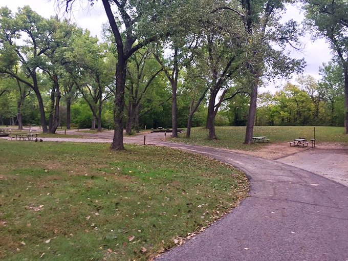 Spring blossoms frame the perfect picnic spot at Kanopolis. Mother Nature showing off her decorating skills!