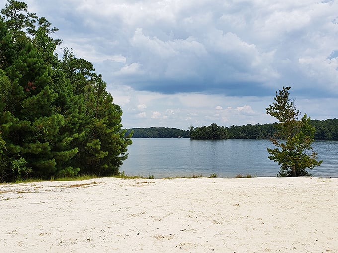 Lake Martin's hidden beach cove, where pine trees stand guard and the water whispers "no sharks here!" Freshwater paradise found.